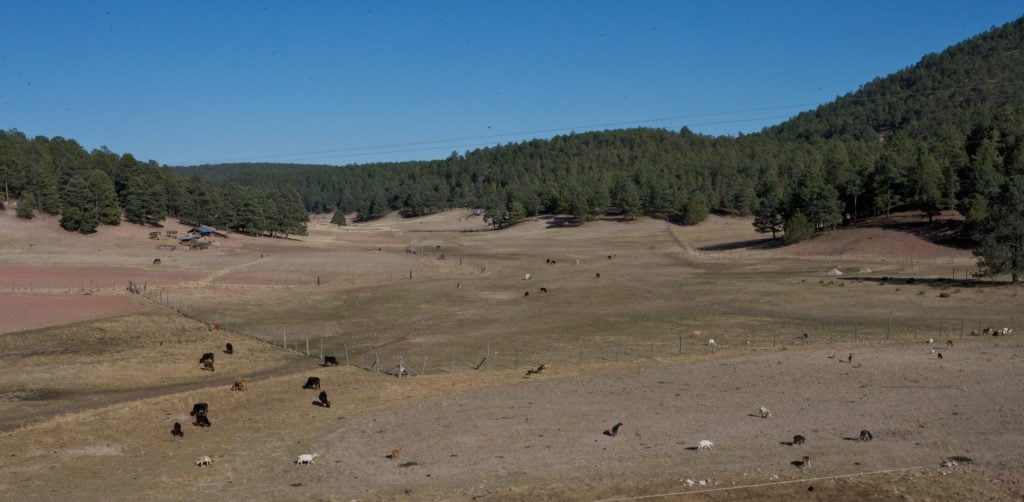 Service Areas | Computer CPR IT Services